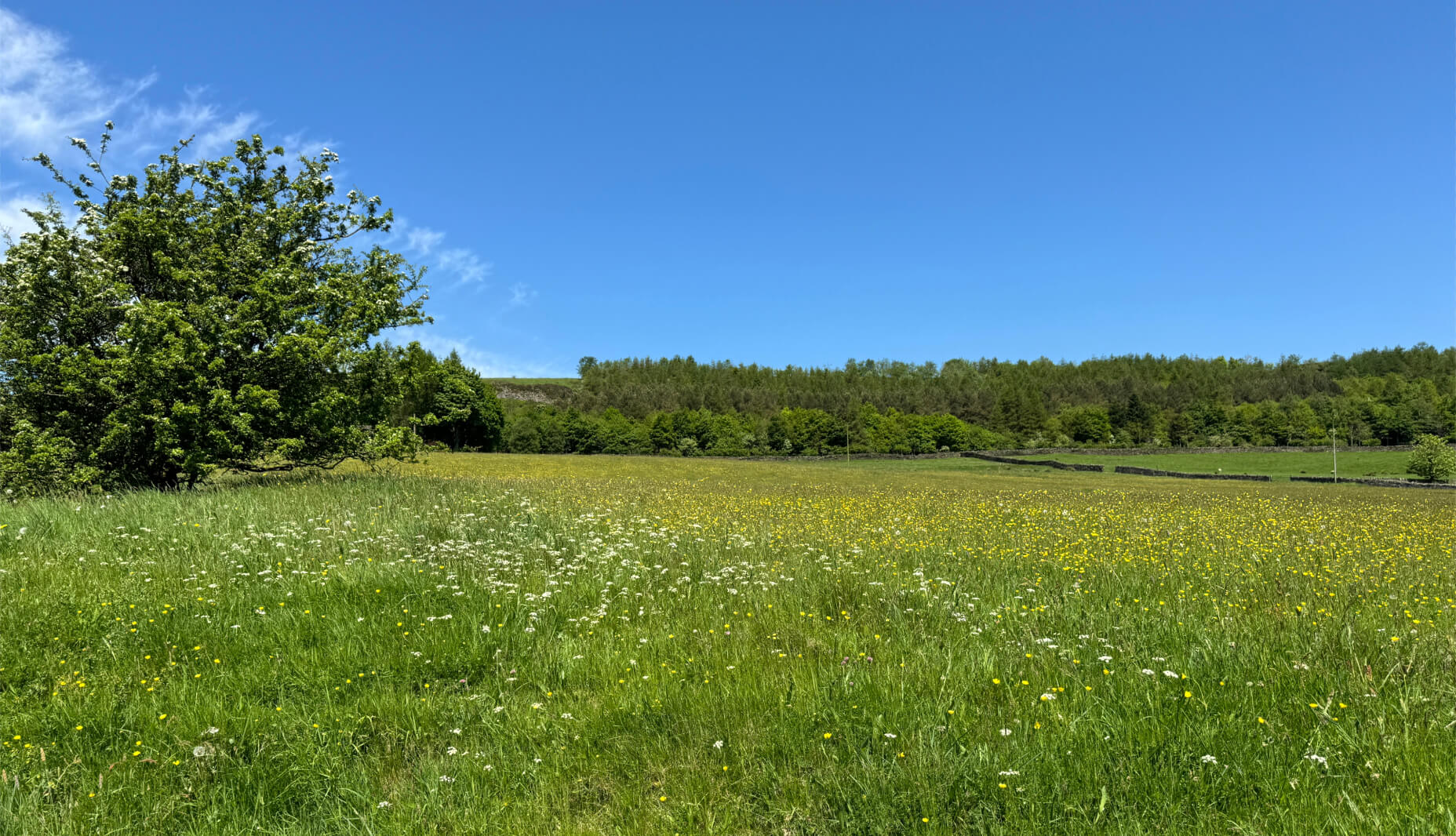 Nature Friendly Farming Network - The Nature Recovery Project