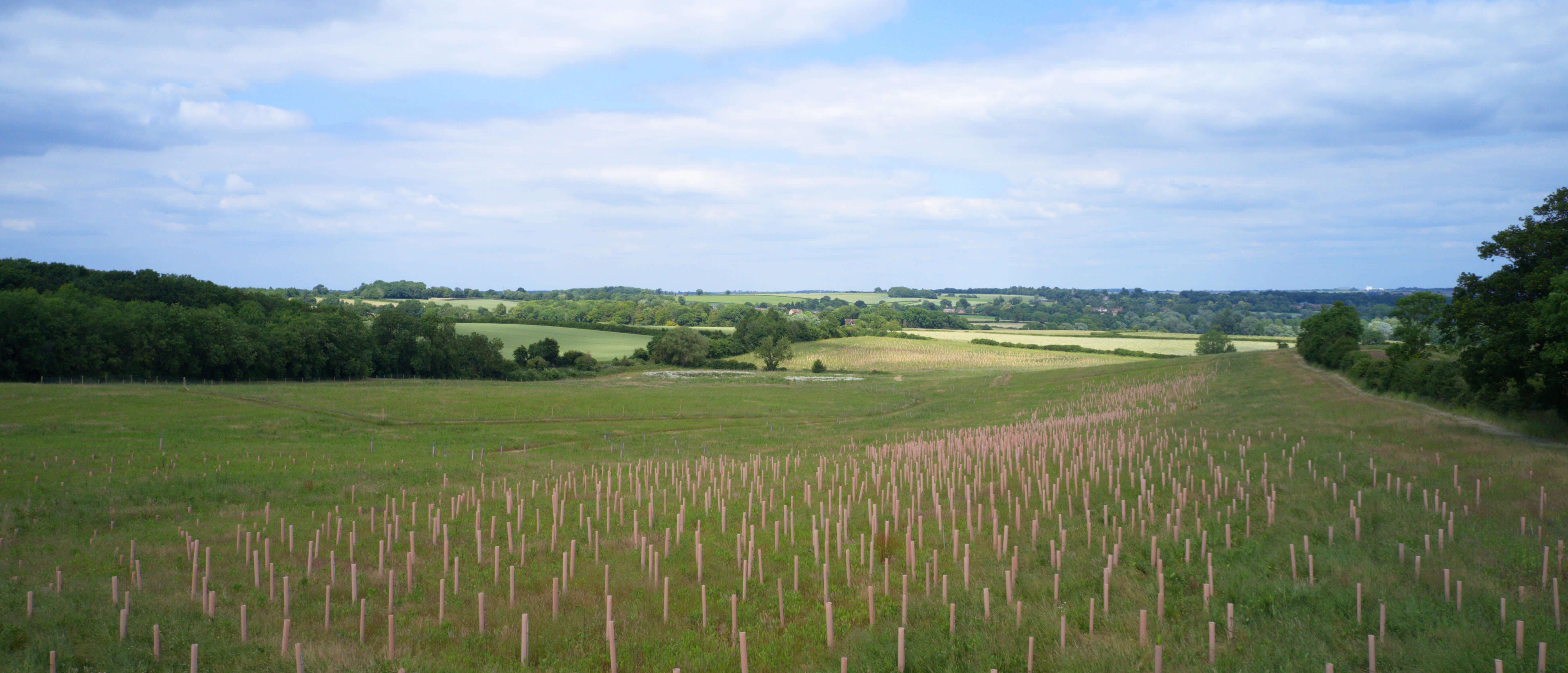 Restoring Habitats - The Nature Recovery Project
