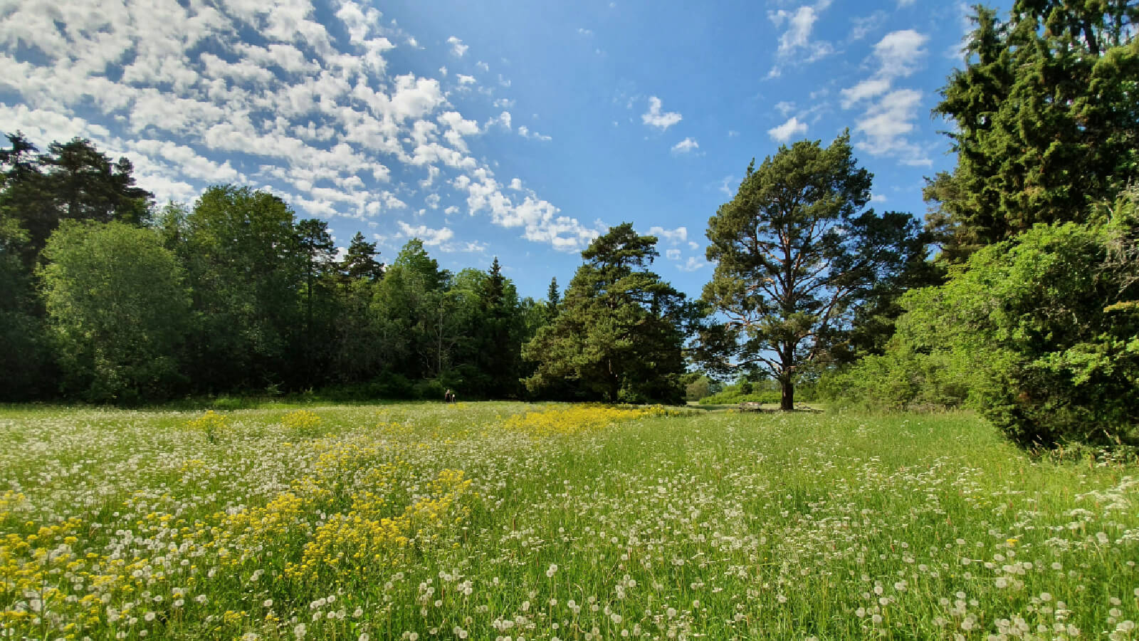 Restoring Nature: Our Latest Progress on Biodiversity - The Nature ...