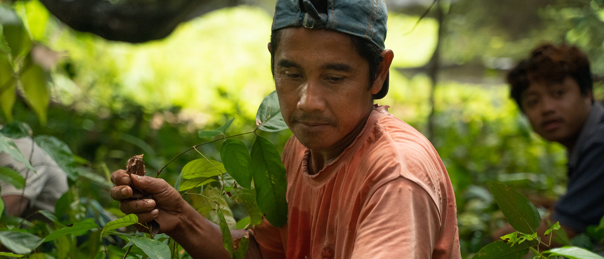 The Nature Recovery Project Funds New Cohorts for Forest conservation ...